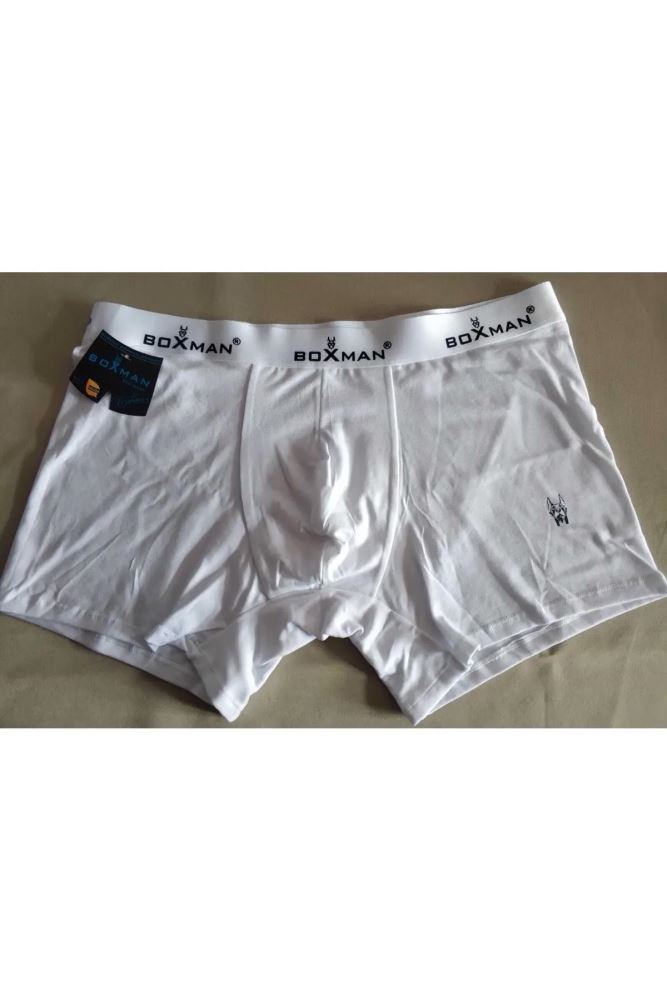 Boxman Erkek Mikro Modal Boxer 405.