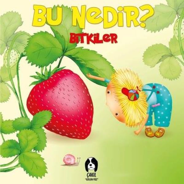 Bu Nedir - Bitkiler Elif Tahmiscioğlu.
