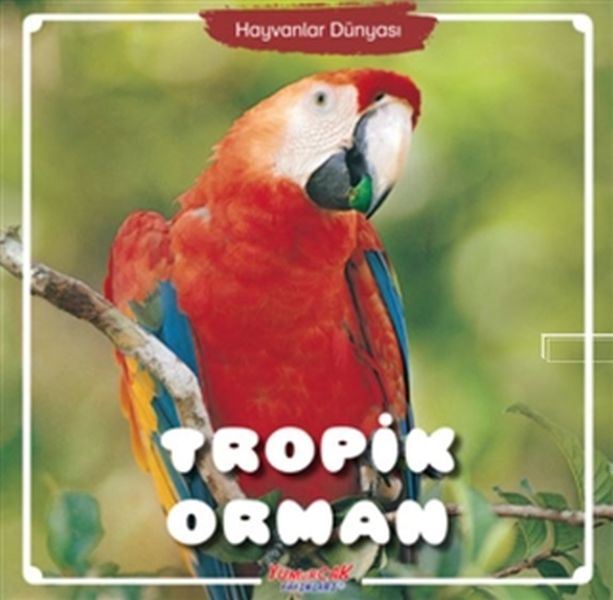 Tropik Orman - Hayvanlar Dünyası Kolektif.