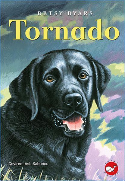 Tornado Betsy Byars.